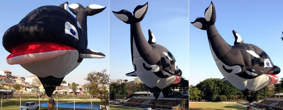 Bart's Special Shape Collection - News